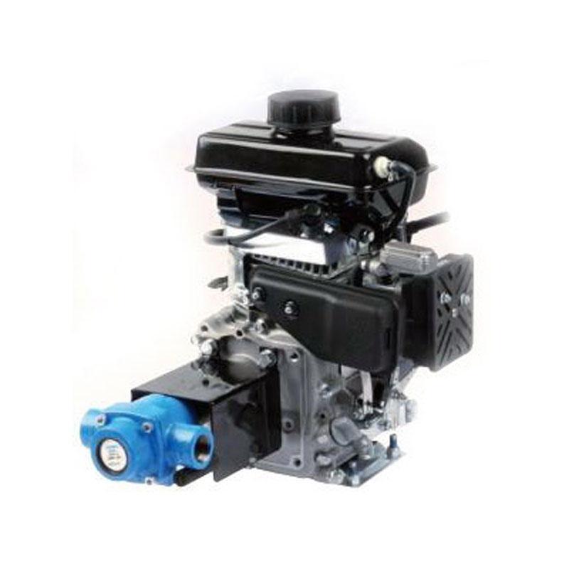 Hypro Cast Iron Gas Engine Driven Roller Pump with PowerPro 2.5 HP ...